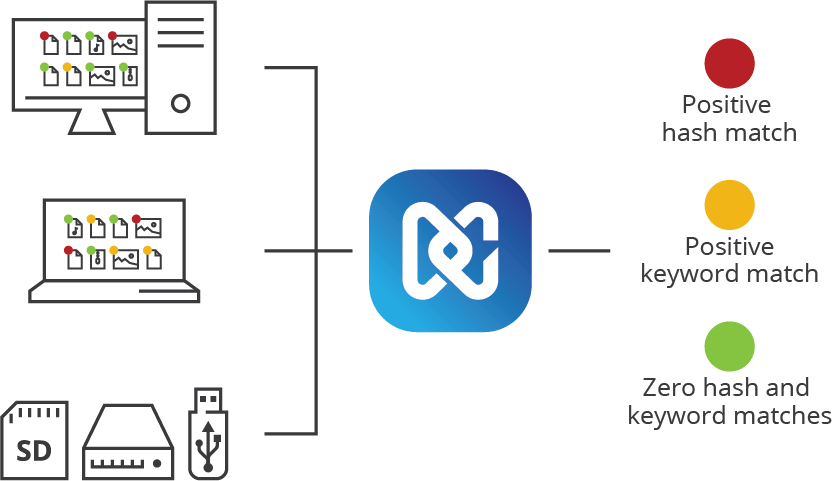 Discover Detego Field Triage now!